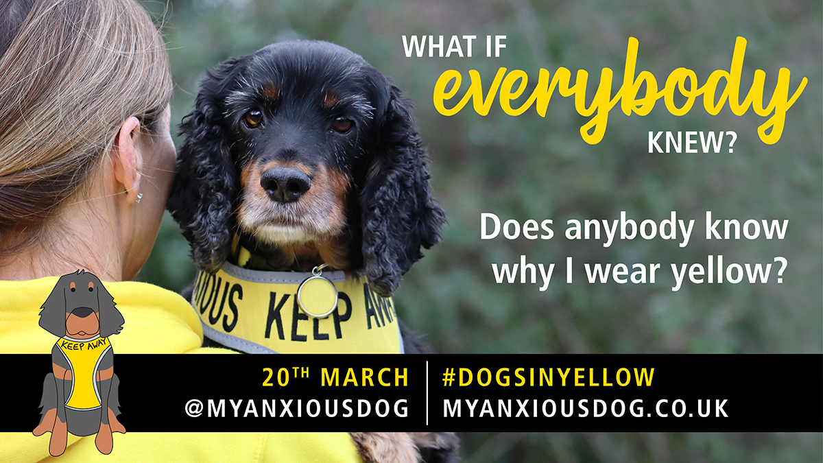 My Anxious Dog | www.theopaphitissbs.com