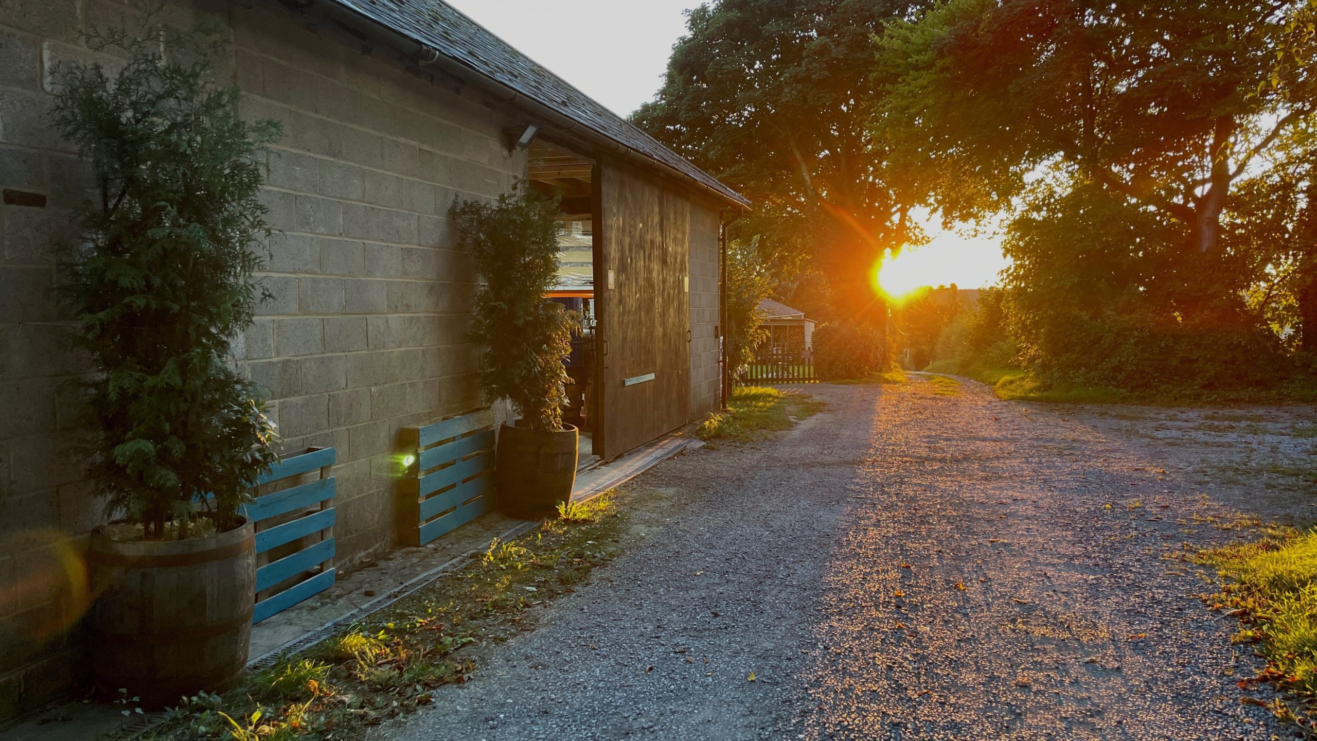 Downton Distillery | www.theopaphitissbs.com