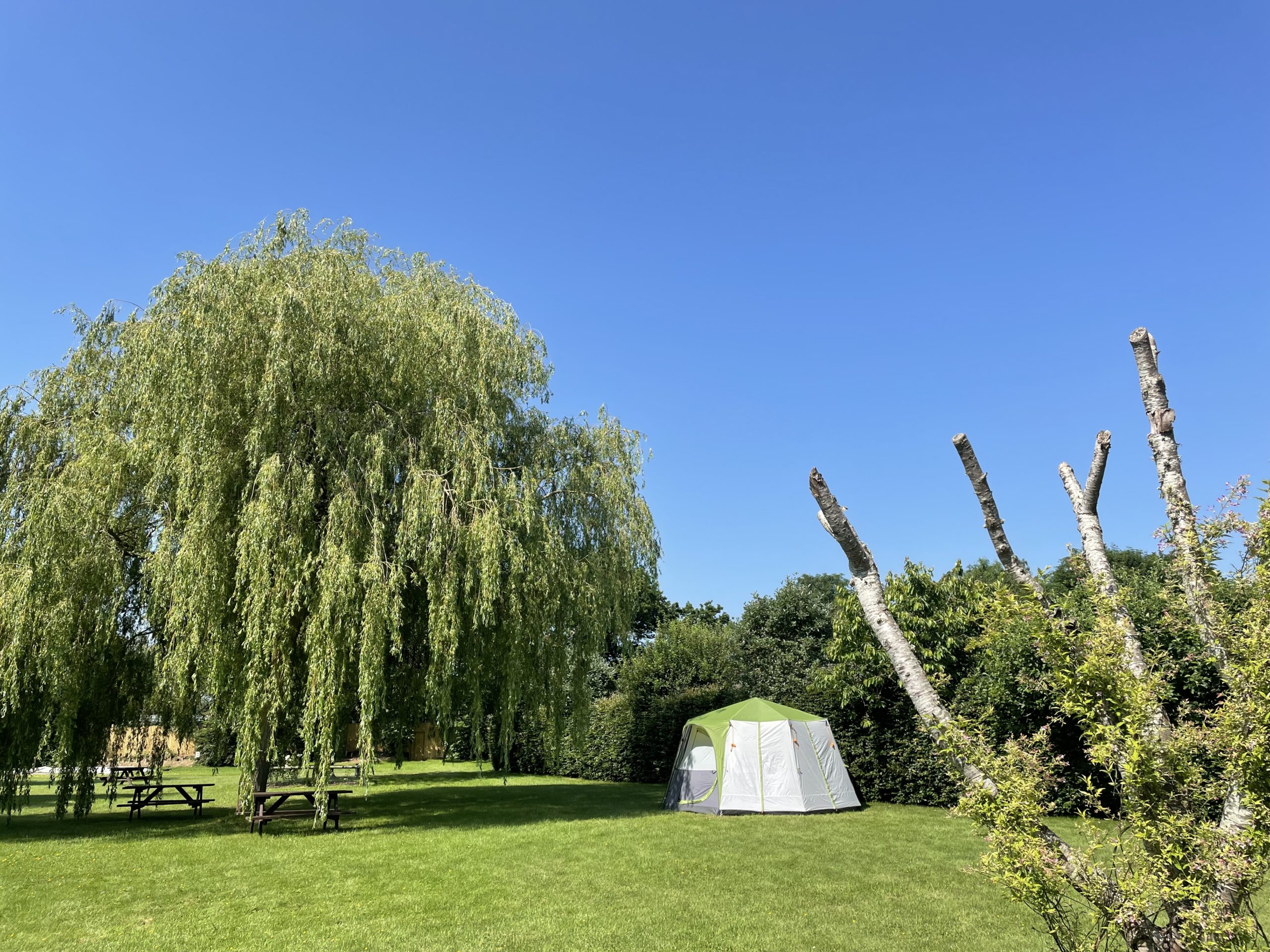 Long Hazel Park | www.theopaphitissbs.com